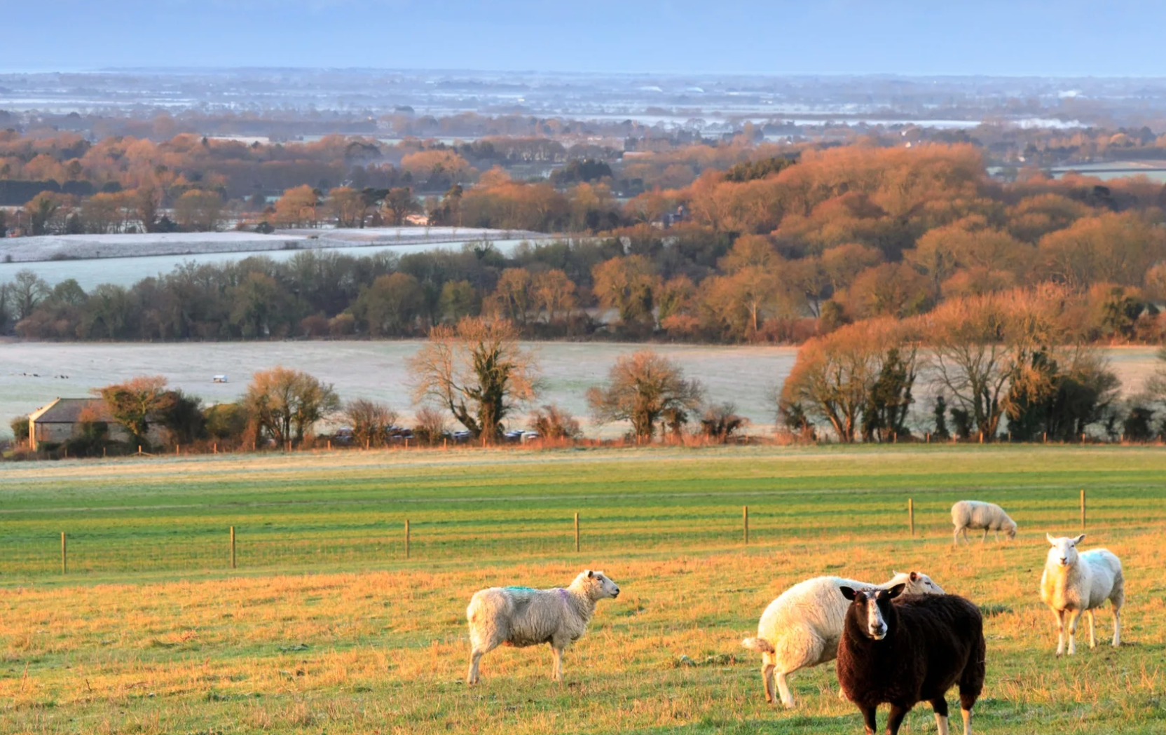 Best Walks In Sussex - We Love Brighton