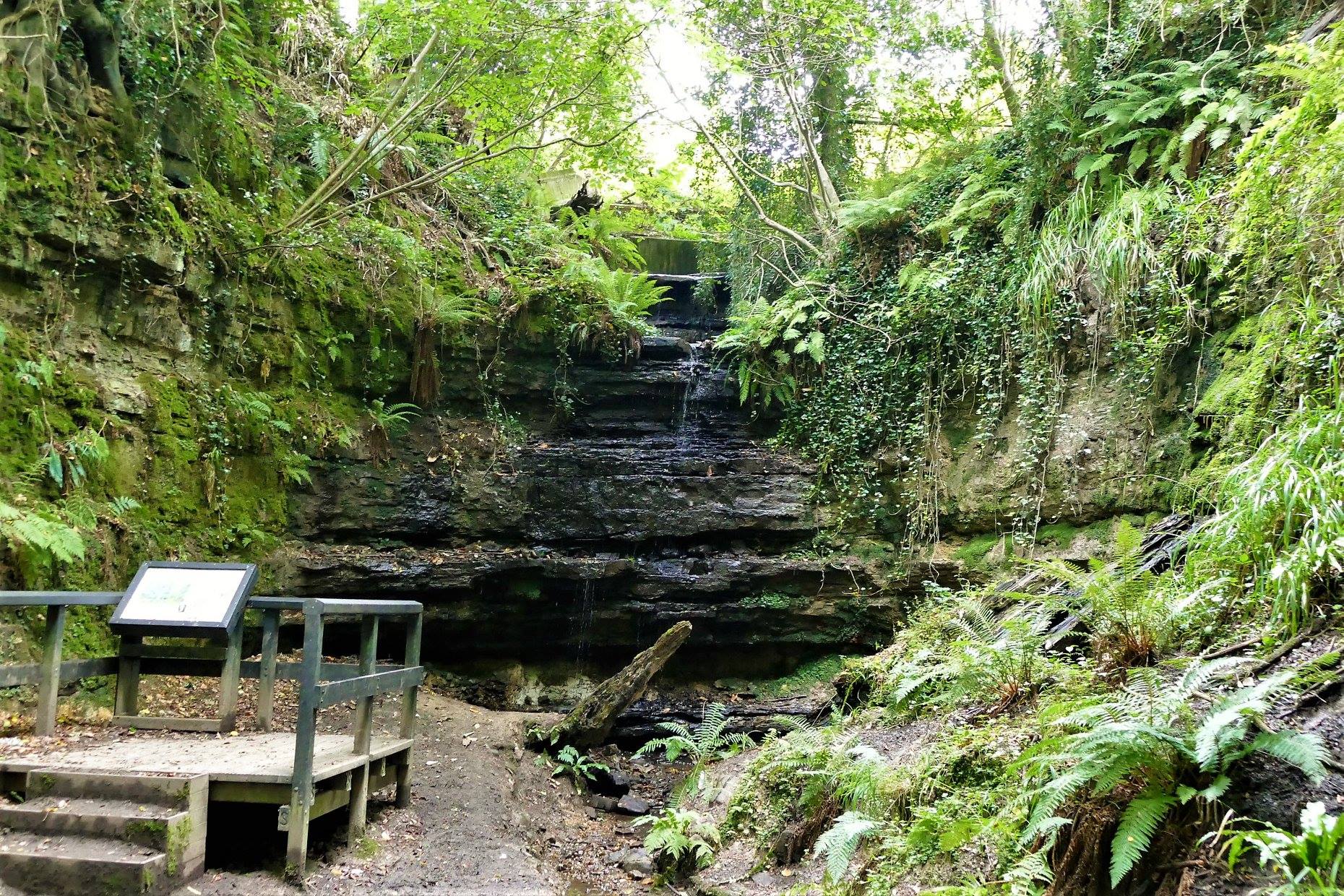Must Visit Waterfalls Near Brighton (Sussex) - We Love Brighton