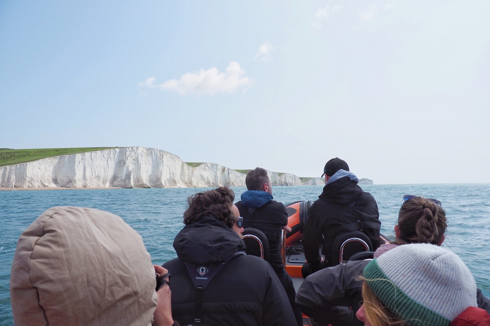 Sussex Dolphin Project Unites Brighton With Its Dolphin Neighbours - We ...
