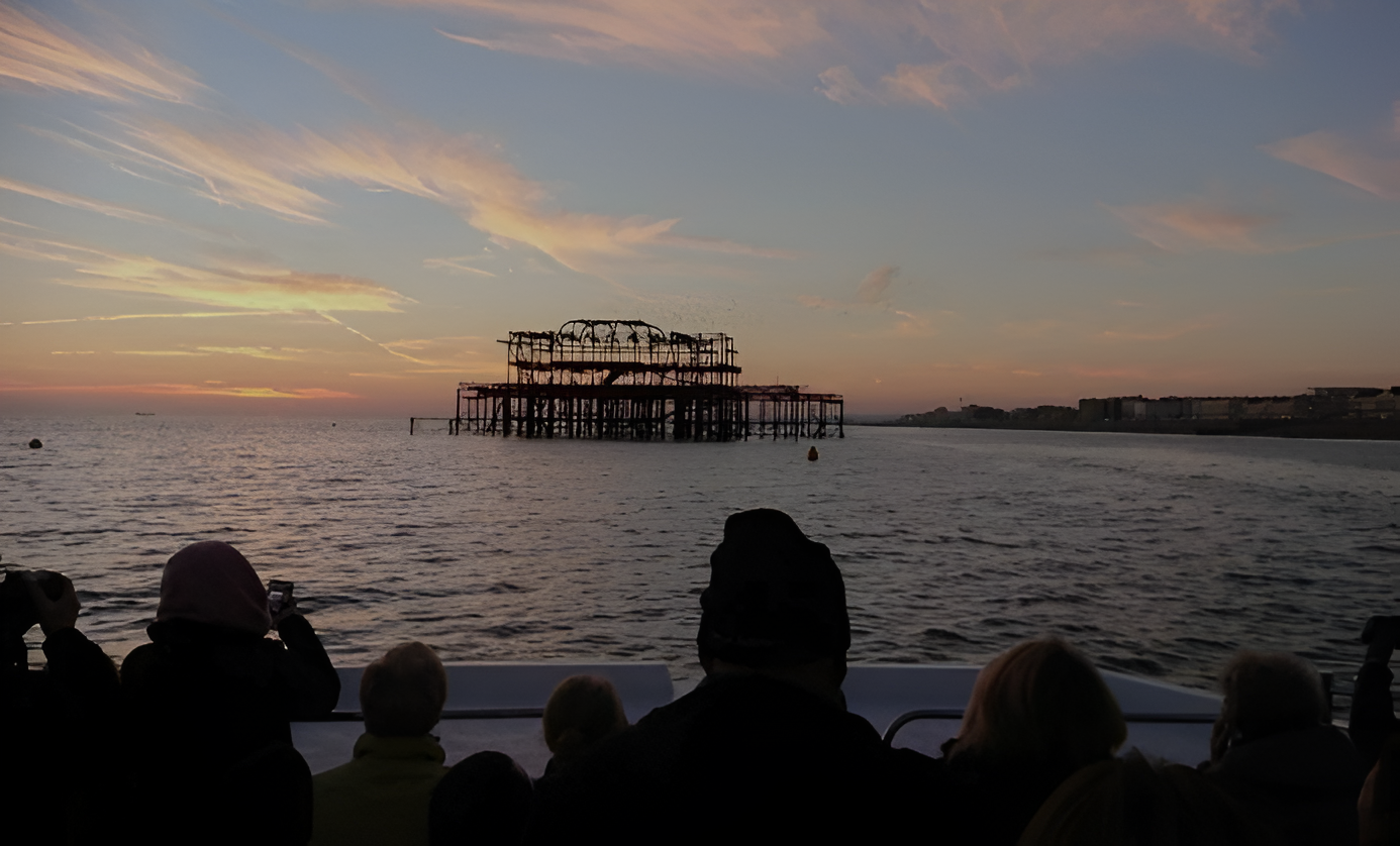 Sussex Dolphin Project Unites Brighton With Its Dolphin Neighbours - We ...